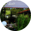 Alexi's Grill – Phoenix - Alexi's Grill